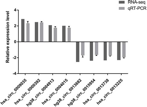 Comprehensive Circular Rna Expression Profile In Radiation Treated Hela