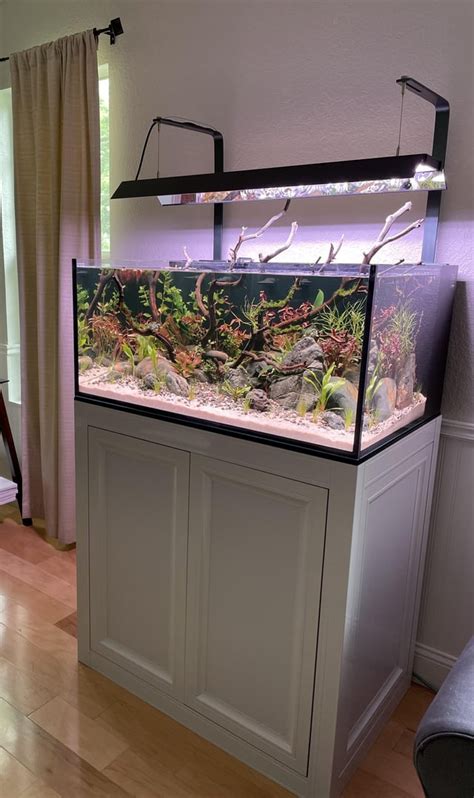 I Bought This Tank 6 Months Ago And Its Finally Planted Rplantedtank