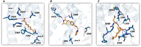 Figure 2 From A Combined Molecular Dynamics And Hydropathic Interaction