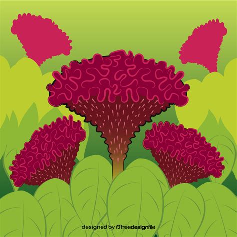 Cockscomb Flower Vector Free Download