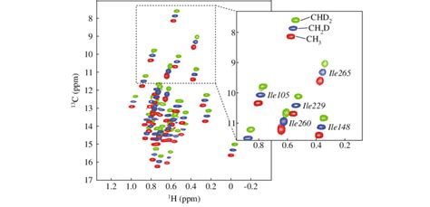 Overlaid 1 H 13 C Correlation Spectra From Highly Deuterated Samples Of Download Scientific