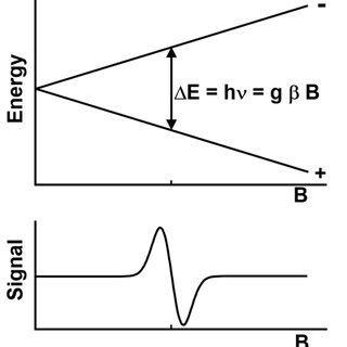 EPR Energy Level Diagram Depicting The Relationship Between The Download Scientific Diagram