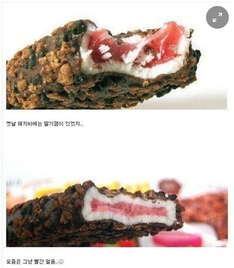 요즘 돼지바가 ㅈㄴ 맛없는 이유 2023 음식 길거리 음식 색 뜻