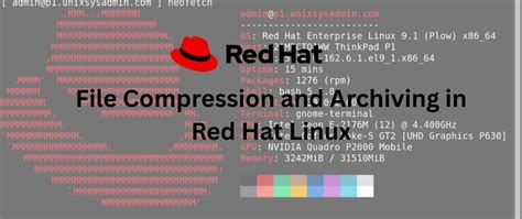 File Compression And Archiving In Red Hat Linux Dev Community
