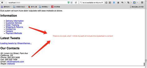Javascript My Stylesheet Did Not Load But The Paths Is Correct