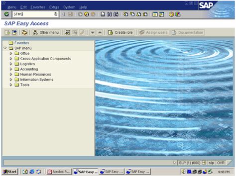 Simple About SAP Basis SAP Transport Management System Configuration Step By Step