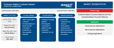 Occlusion Balloon Catheter Market Growth And Share By 2031
