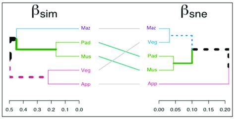 Dissimilarity Cluster Based On Spatial Turnover βsim And