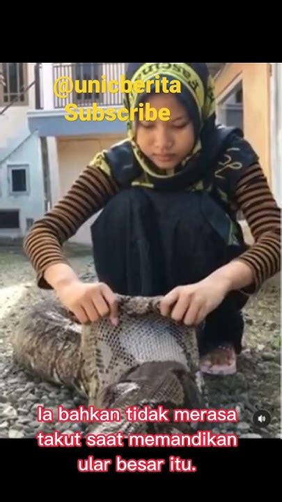 Gadis Berteman Dengan Ular Phytonshorts Phython Youtube