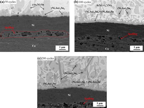Investigation Of Interfacial Reactions Between 58 Off