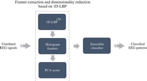 The Proposed Eeg Classification System Color Figure Can Be Viewed At Download Scientific