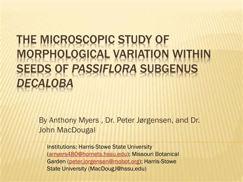 [ppt] Morphological Variation Within Seeds Of Passiflora Subgenus Decaloba Powerpoint