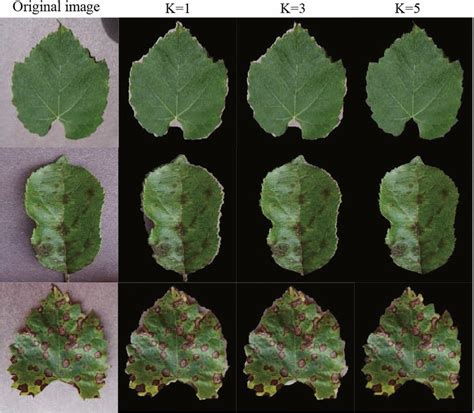 The Effect Of Image Segmentation With Different K Values Download