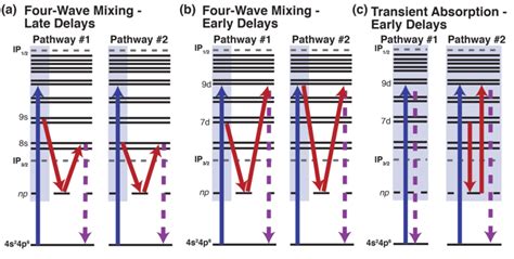 Pathway Interference Leads To Distinct Quantum Beat Oscillations In Download Scientific Diagram