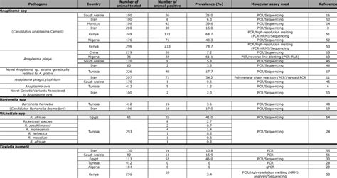 Prevalence Of Vector Borne Bacterial Pathogens In Camel From Molecular Download Scientific