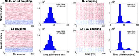 Raster Plots And Inter Spike Interval Isi Histograms For Each Of The