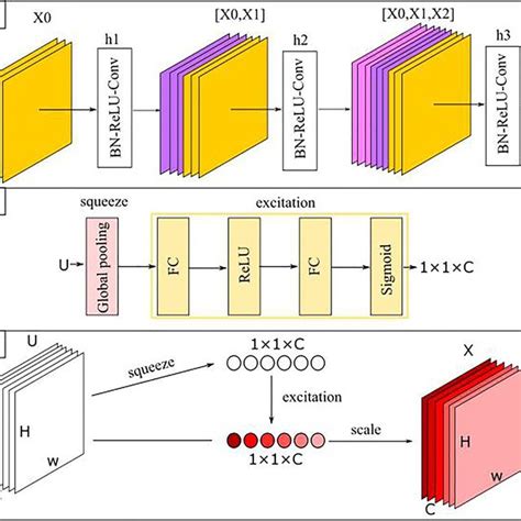 building blocks of dense convolutional squeeze‐and‐excitation se