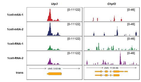 Chapter 5 Basic Visualization Biosequtils Reference