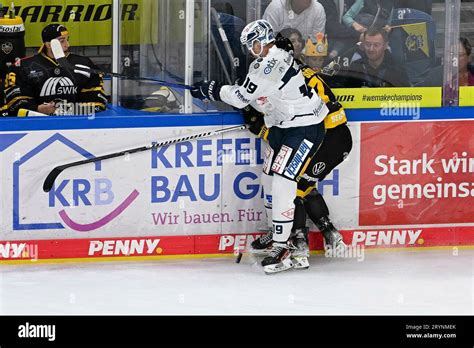Eishockey Del 2 Krefeld Pinguine Vs Dresdner Eislöwen M 01 10 2023