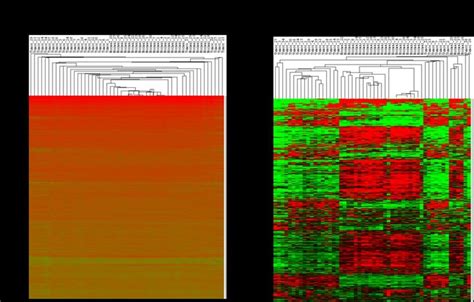 Figure S4 Two Way Hierarchical Cluster Analyses Of A The