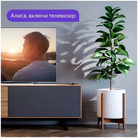 Умный пульт Яндекса YNDX-0006 (черный) – TreeTech