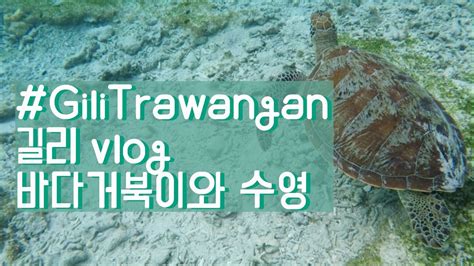 Vlog 길리 트라왕안 브이로그ㅣ거북이와 수영하기ㅣ길리여행 I 윤식당 I 터틀포인트 I 펄오브트라왕안 I 발리여행 I 롬복여행 Youtube