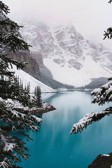 Vue Bootstrap Onboarding Examples And Tutorial