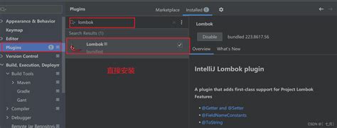 Lombok详解lombook Csdn博客