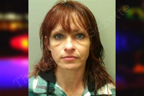 Dawn Davenport Davis — Towns County Jail Bookings