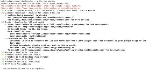 Flutter Doctor 실행시 각종 에러 해결