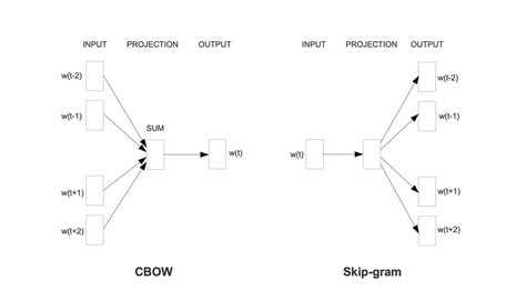 🔍 Debunking The Input Layer Myth In Word2vec Satvik Tejas