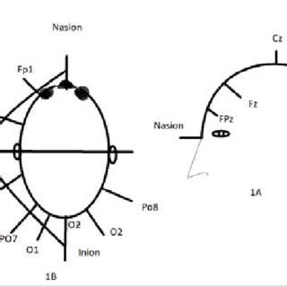 Electrode Positions In Standard And Multichannel VEP 1A Standard VEP Download Scientific