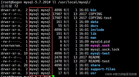 基于nginx搭建lnmp nginx 1 24 lnmp csdn博客