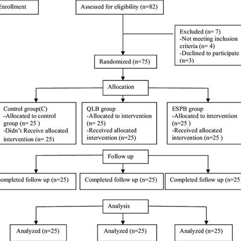 Bromage Scale Score Criteria Download Table