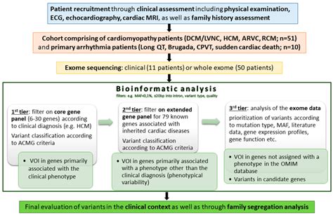 Workflow Diagram Dcm Dilated Cardiomyopathy Hcm Hypertrophic Download Scientific Diagram