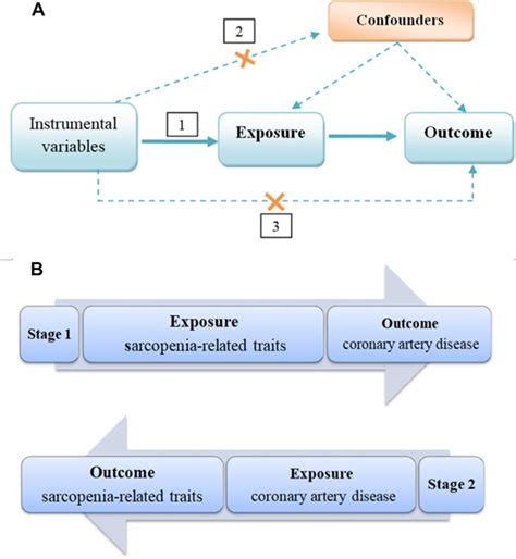 Schematic Representation Of Bi Directional Mr Analysis A Illustrates