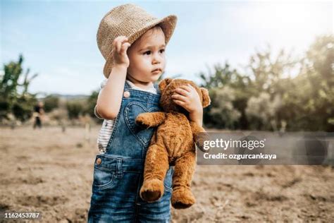 Bear Meadows Natural Area Photos And Premium High Res Pictures Getty Images