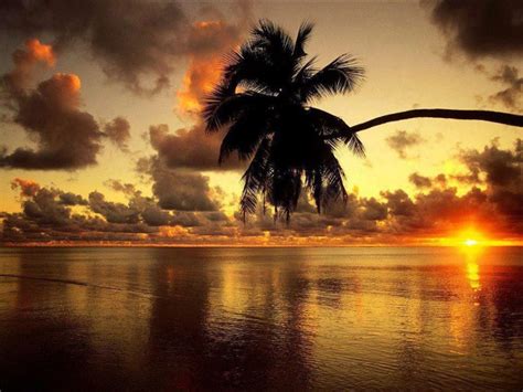 Pacific Sunset Wallpapers Top Free Pacific Sunset Backgrounds