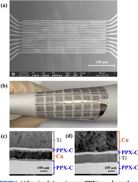 figure 1 from flexible parylene c based rram array for neuromorphic
