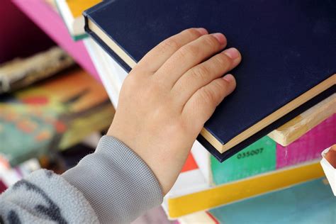 Take In Spanish English To Spanish Translation SpanishDictionary