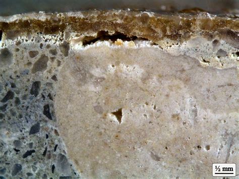 Cross Section Photographs Of Specimen No 36 Showing Limestone Coarse Download Scientific