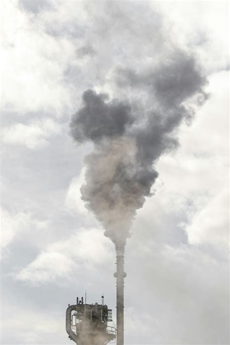 Understanding the Impact of Industrial Waste | SENSONEO