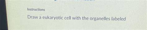 Solved Instructions Draw A Eukaryotic Cell With The Chegg