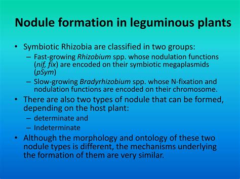 Nodule Formation And Nod Factors Pdf