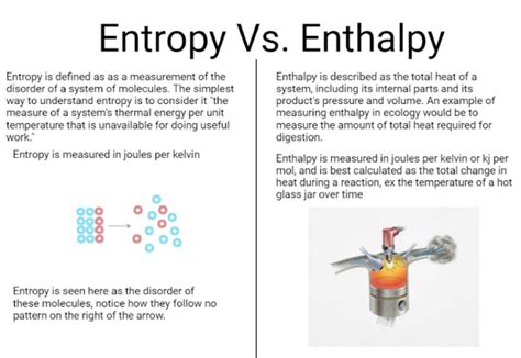 Chapter 11 Ecosystem Ecology Applied Ecology