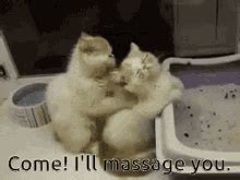 Back Massage S Tenor