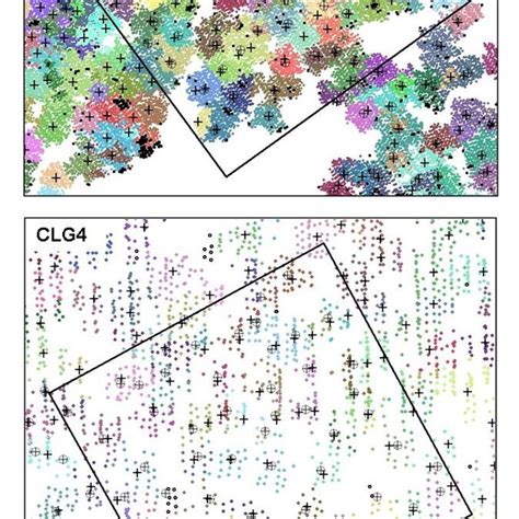 Pdf Lidar Mapping Of Canopy Gaps In Continuous Cover Forests A Comparison Of Canopy Height
