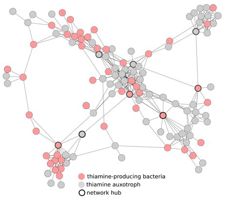 Combining Metagenomics And Network Analyses Identifies Microbial