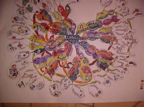 Mind Mapping 101 Your Practical Introduction MindMaps Unleashed
