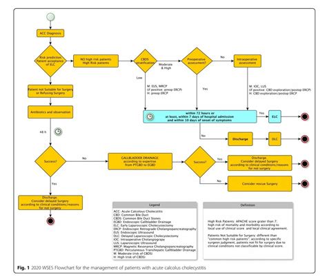 Acute Calculous Cholecystitis Management Algorithm Doi Grepmed